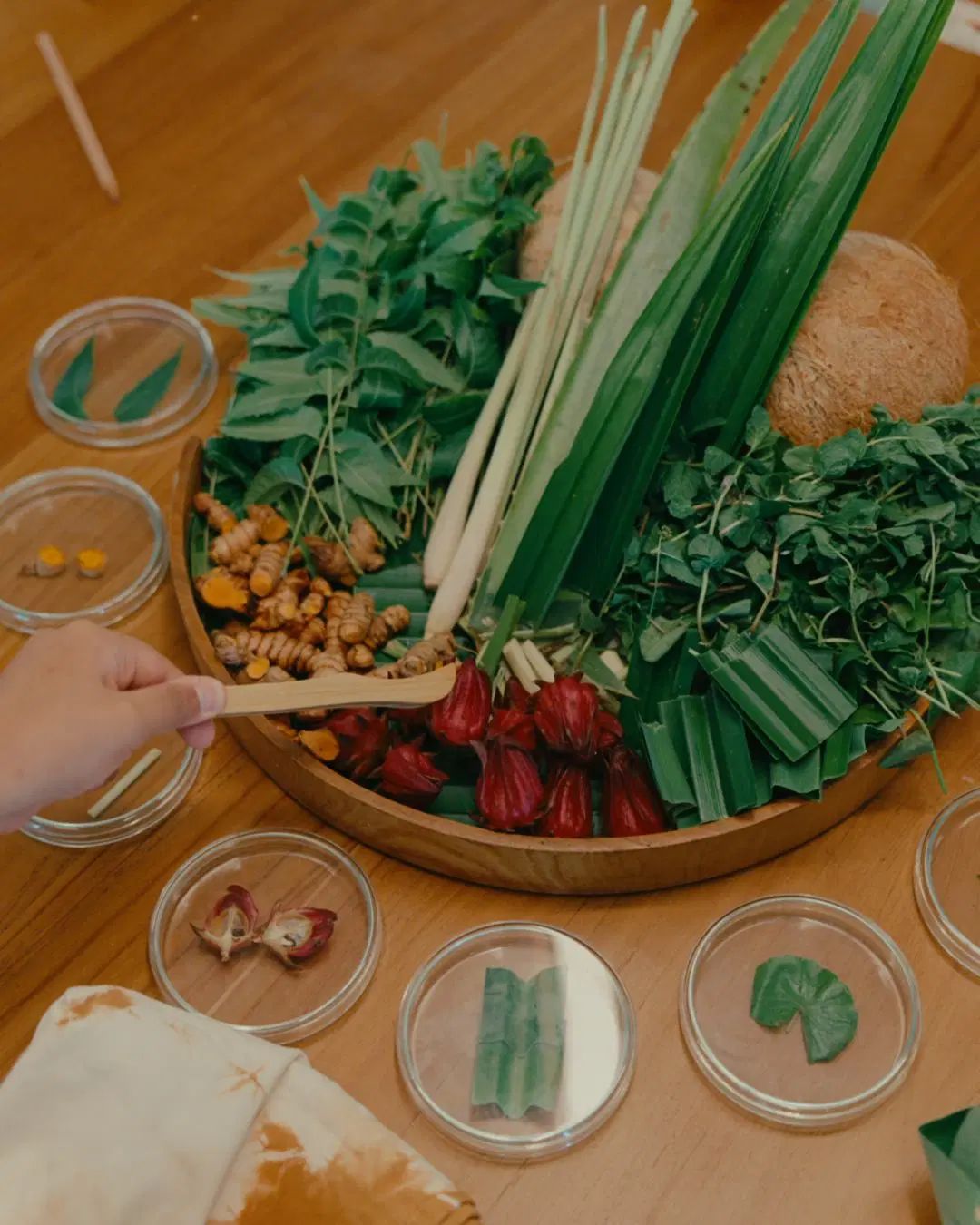 The Healing Garden Workshop at Desa Potato Head