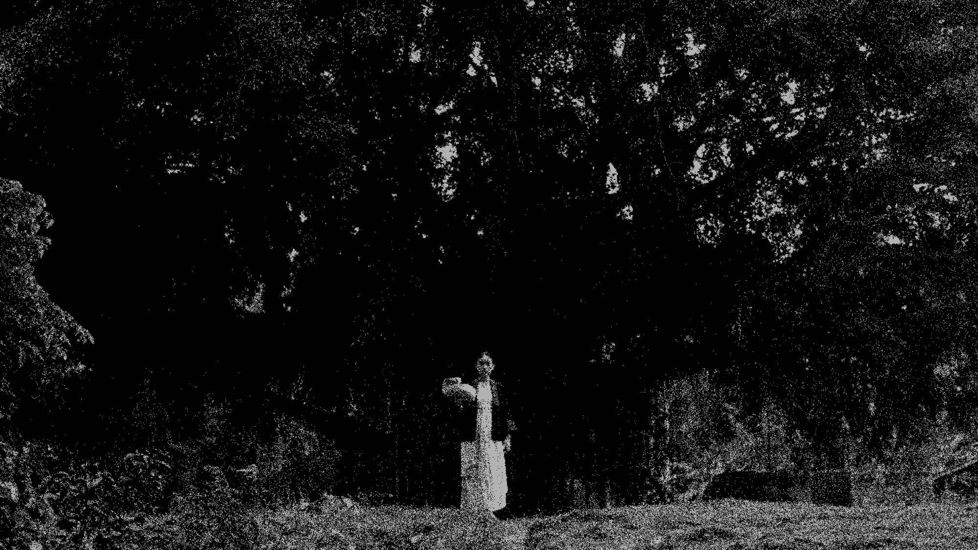 Klymax Movie Night: PAHIT MANIS, Night Forest | Potato Head Bali